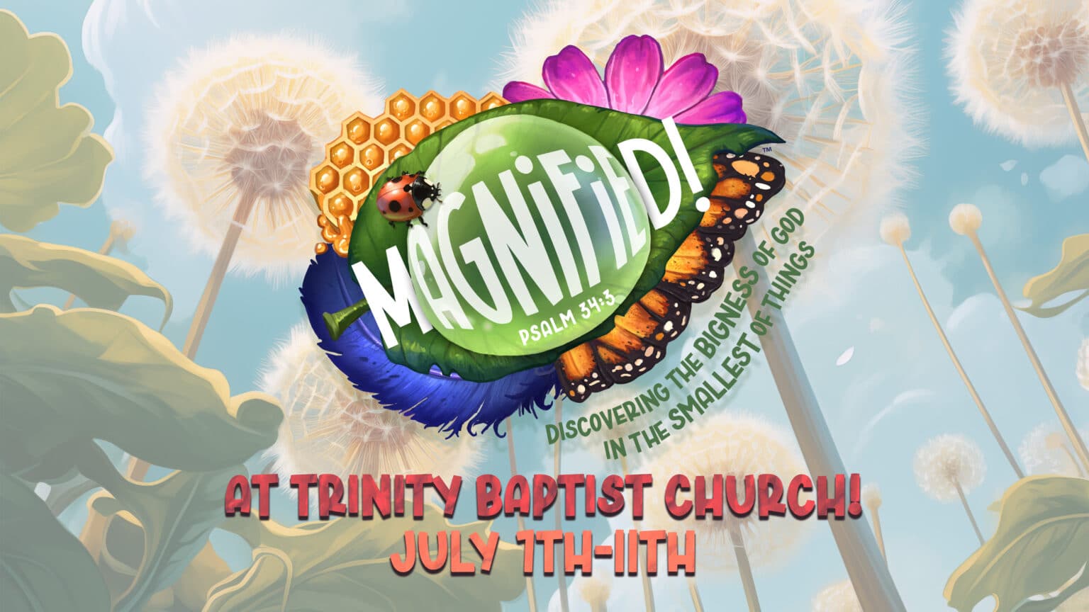 Vacation Bible School 2025 | Trinity Baptist Church Katy